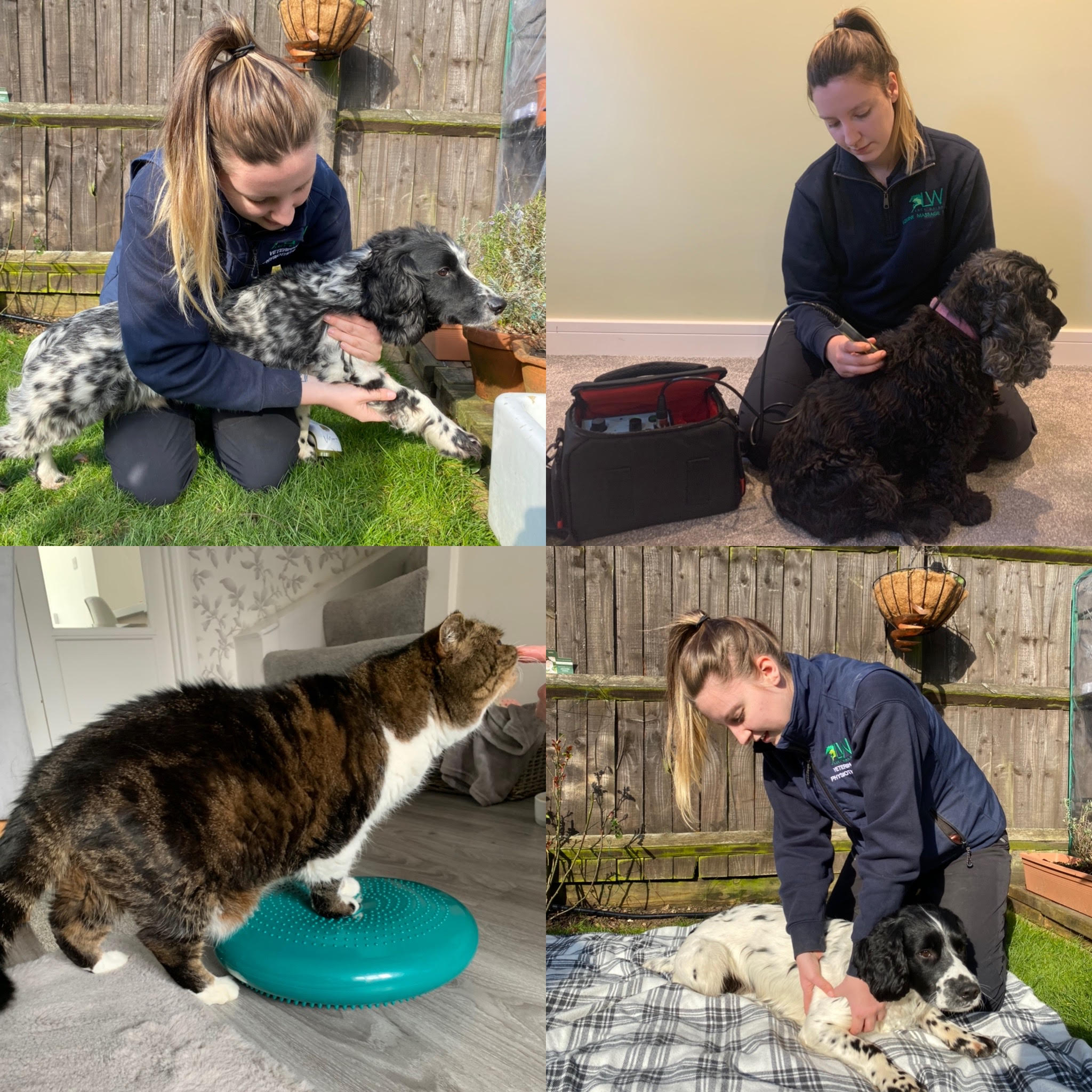 Lucy Walsh Veterinary Physiotherapy